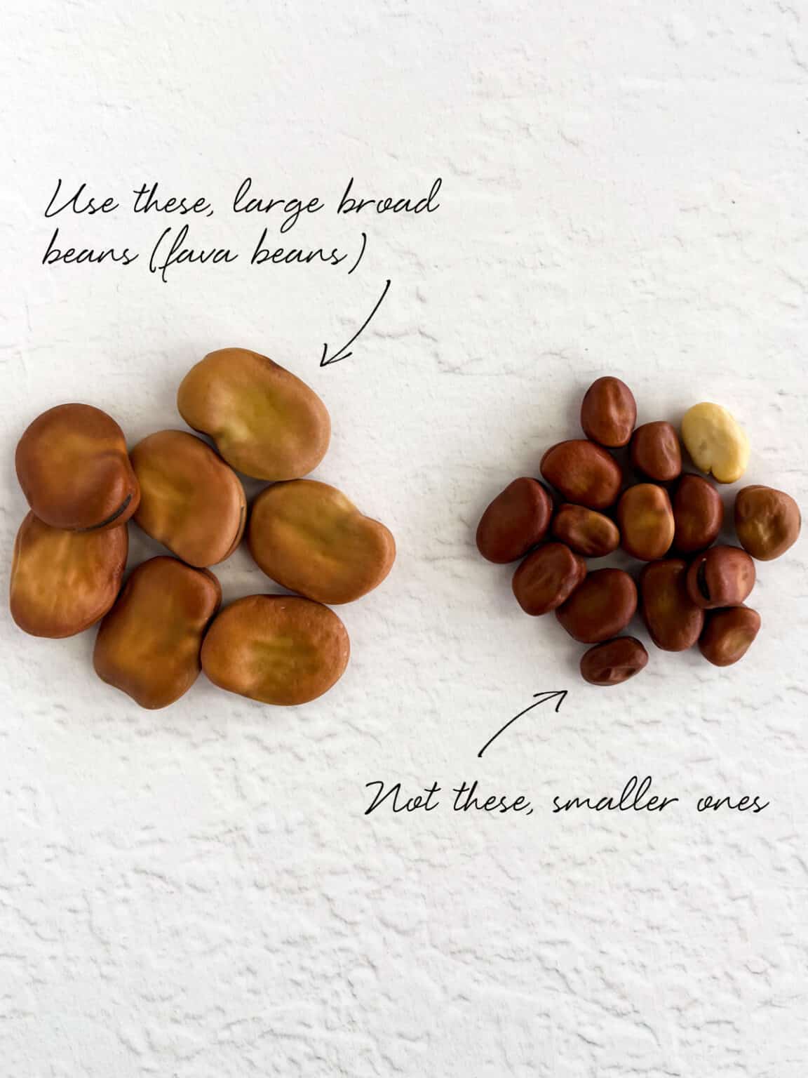 Easy Air Fryer Falafel Recipe