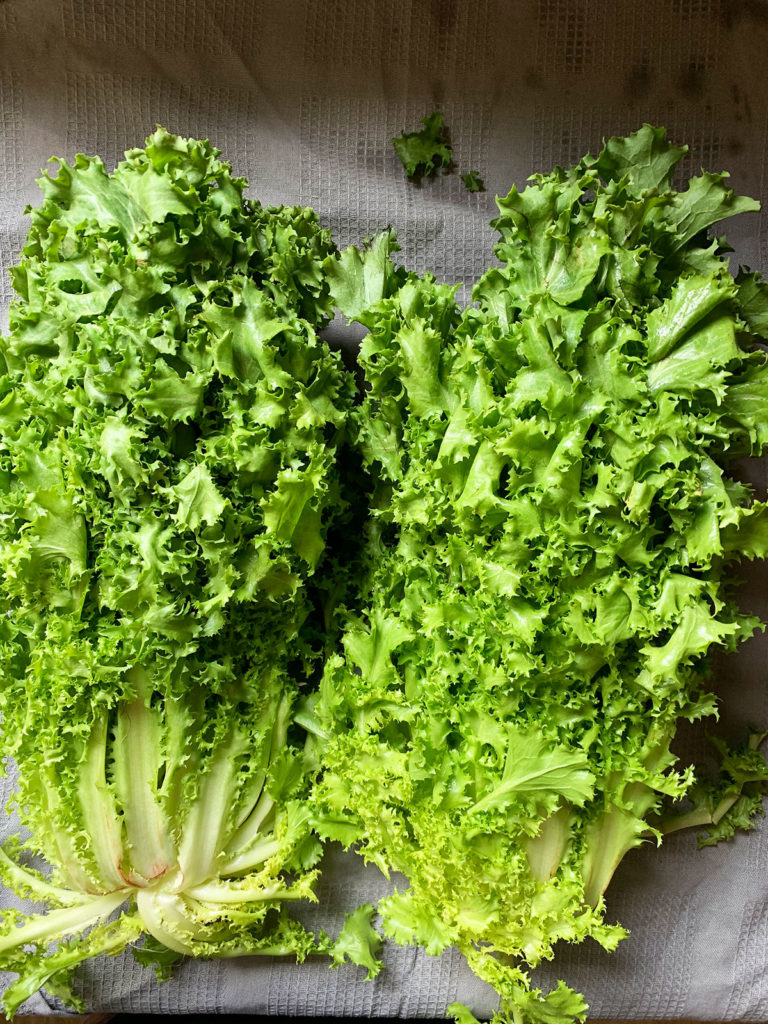 Lebanese Greens Called Hindbeh Bi Zeit