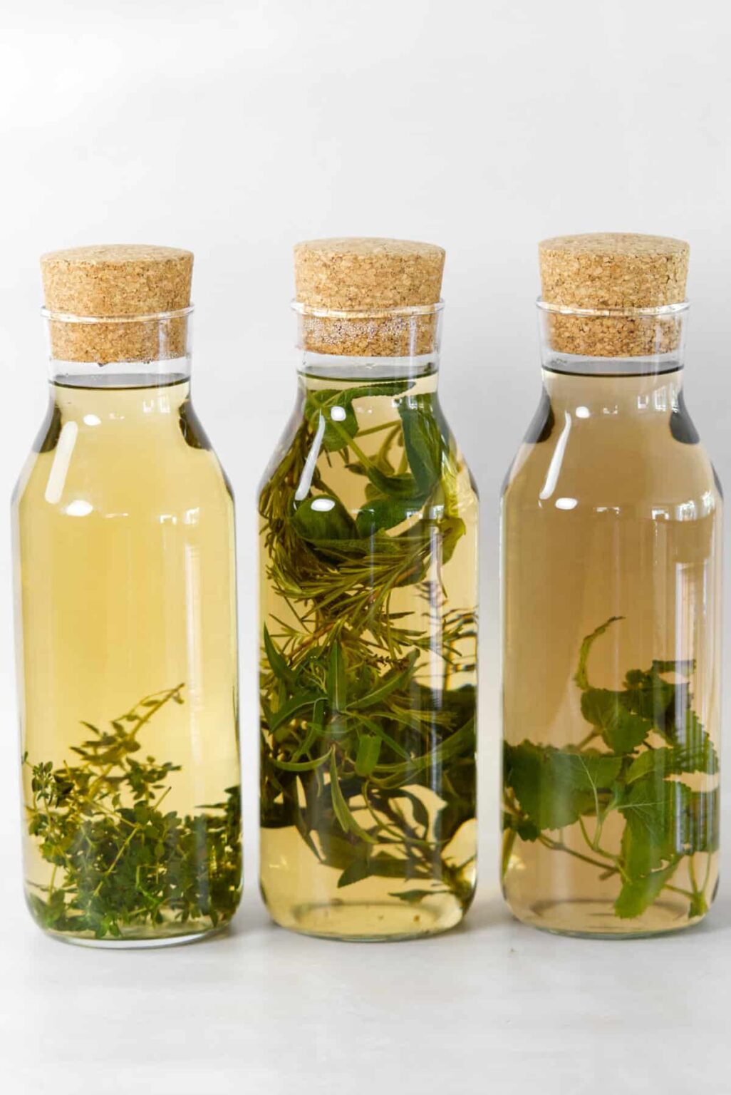 Fresh Herbal Tea (A List of 12 Herbs)