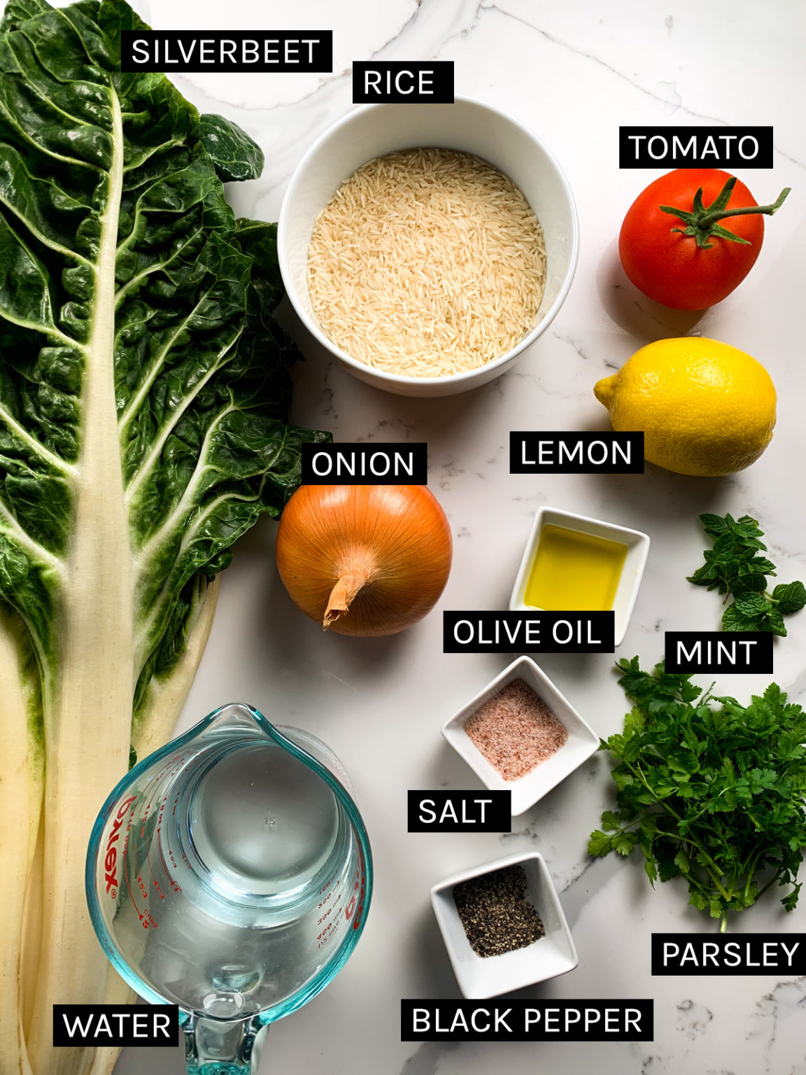 Stuffed Silverbeet Rolls (Mahshi Selek) A Vegan Recipe