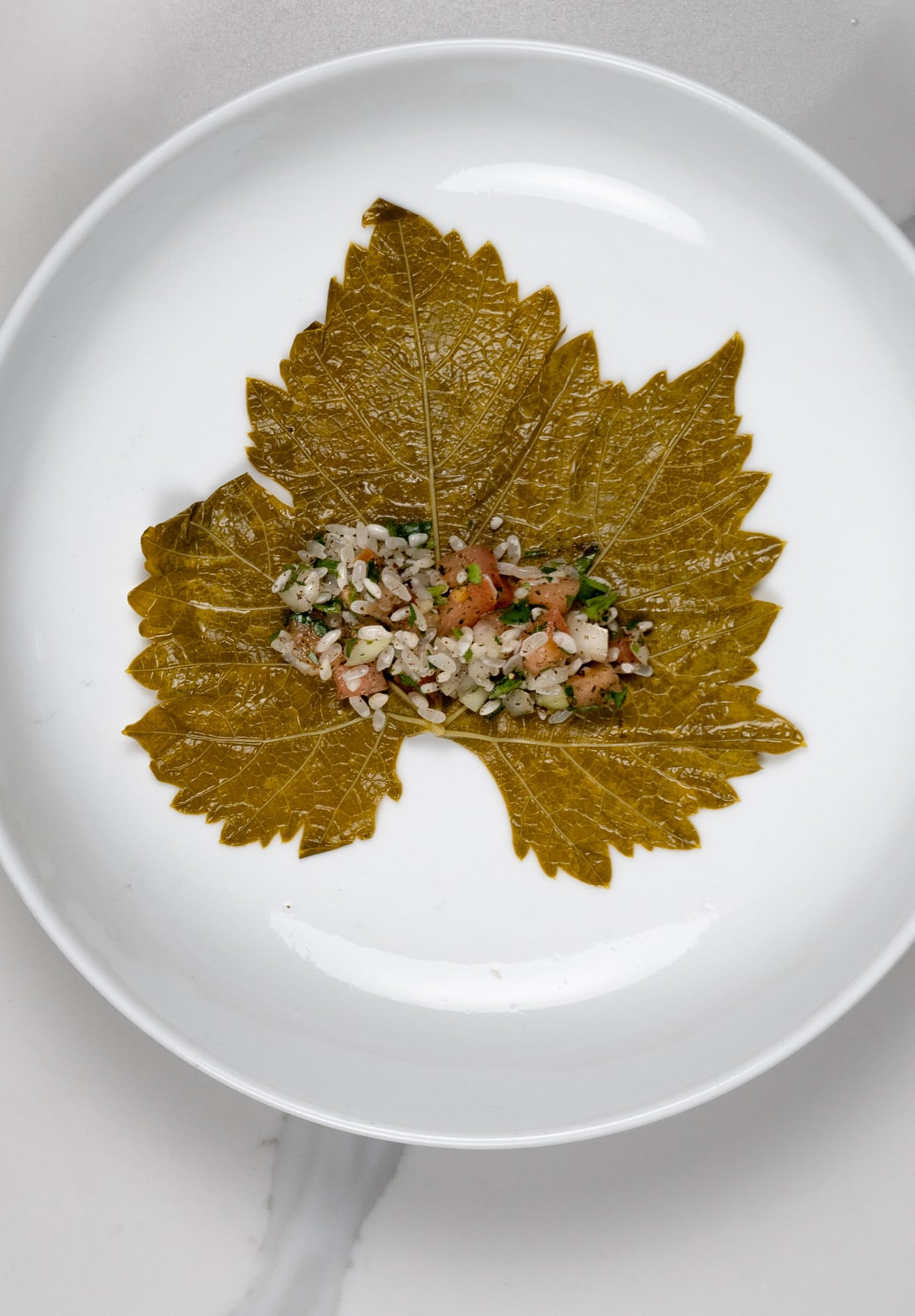 Lebanese Food Grape Leaves Traditional Warak Enab