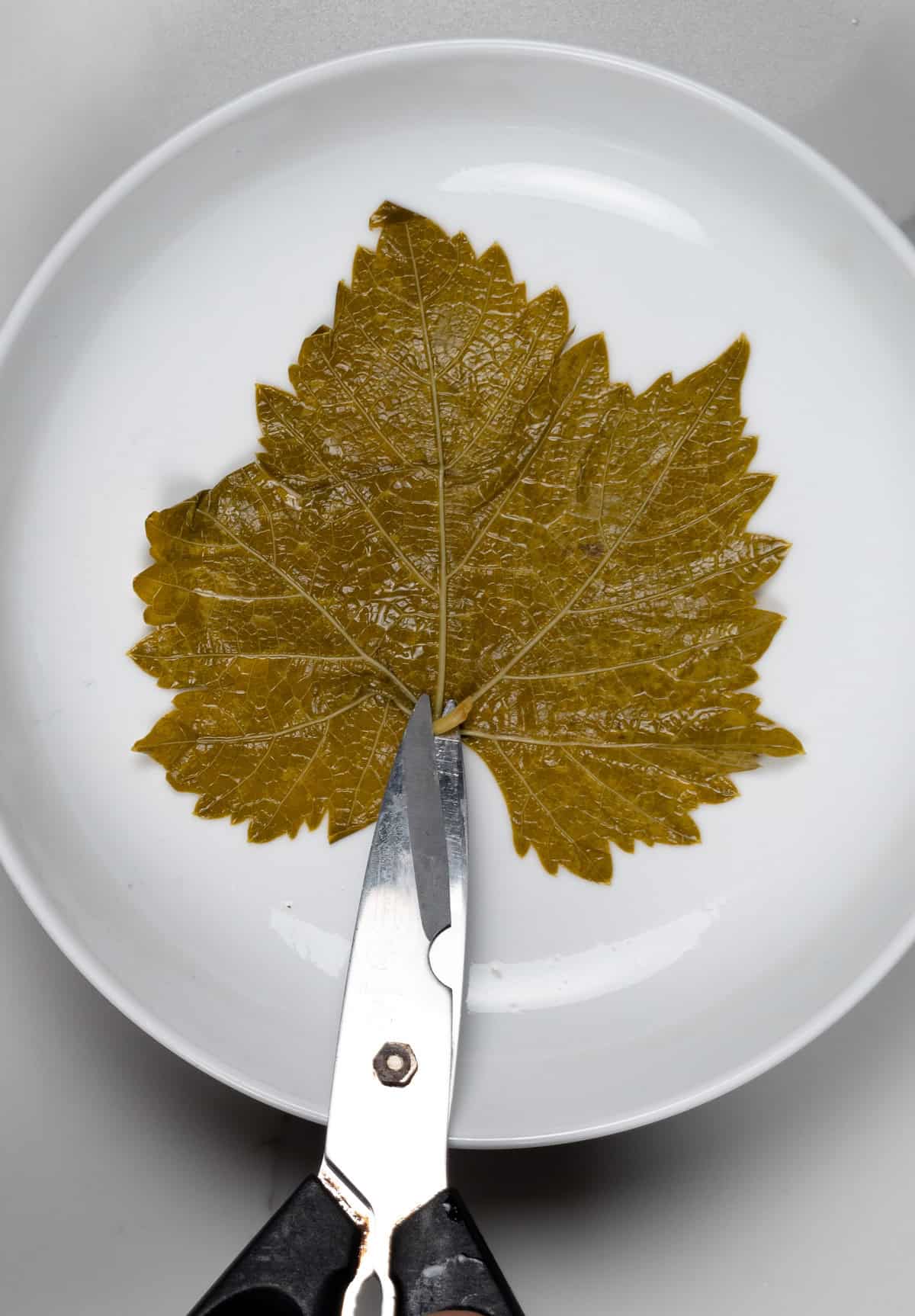Warak Enab (Stuffed Lebanese Grape Leaves)