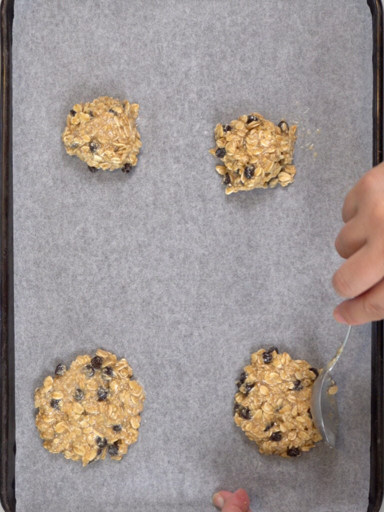 Vegan Chocolate Chip Oatmeal Cookies